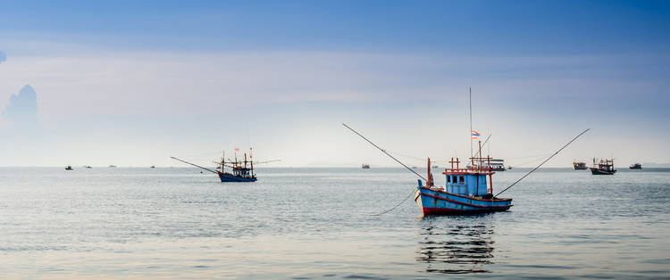 La Asombrosa Maquinaria de la Pesca - Bardahl Industria : Bardahl Industria